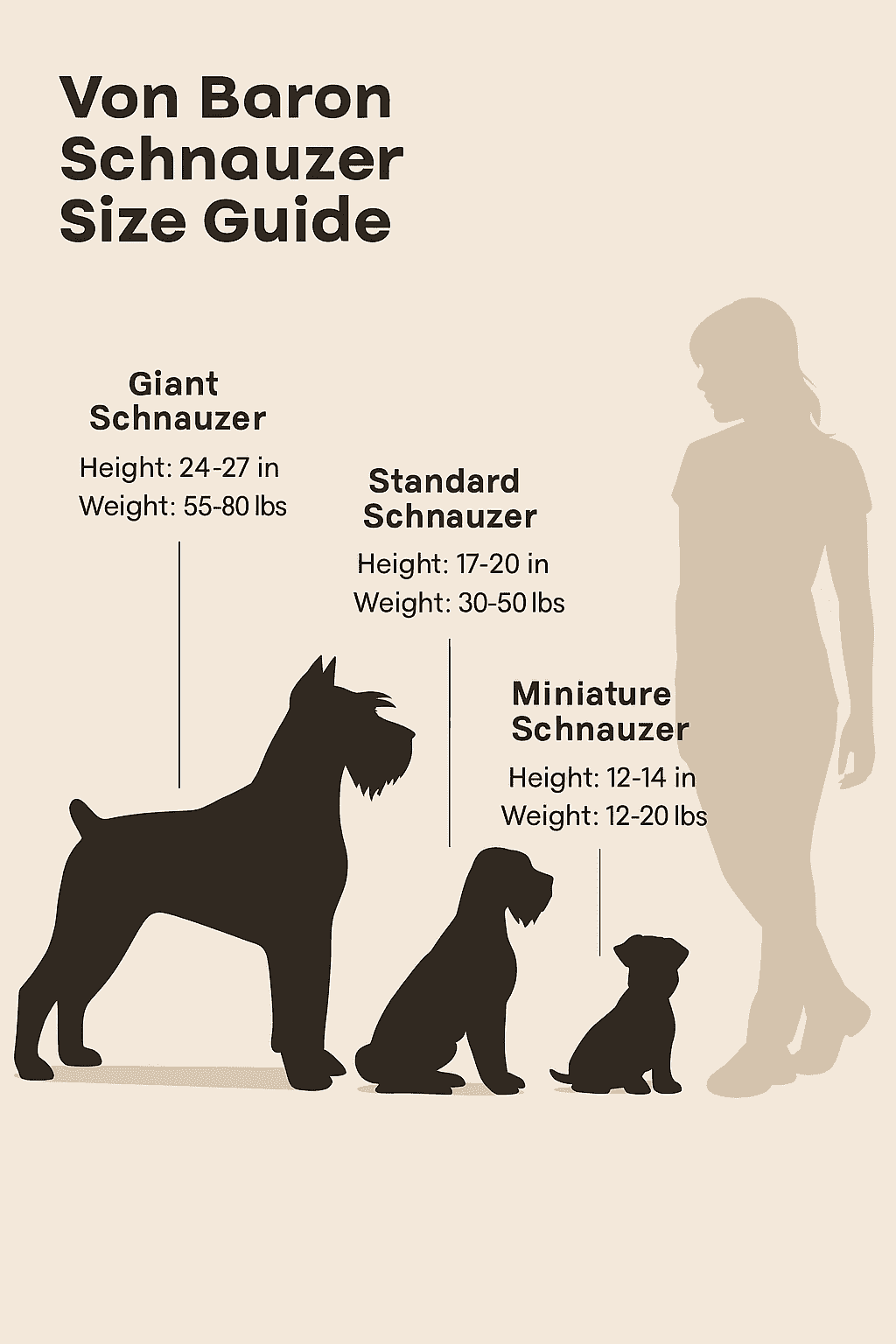 Miniature standard and giant schnauzer breeds